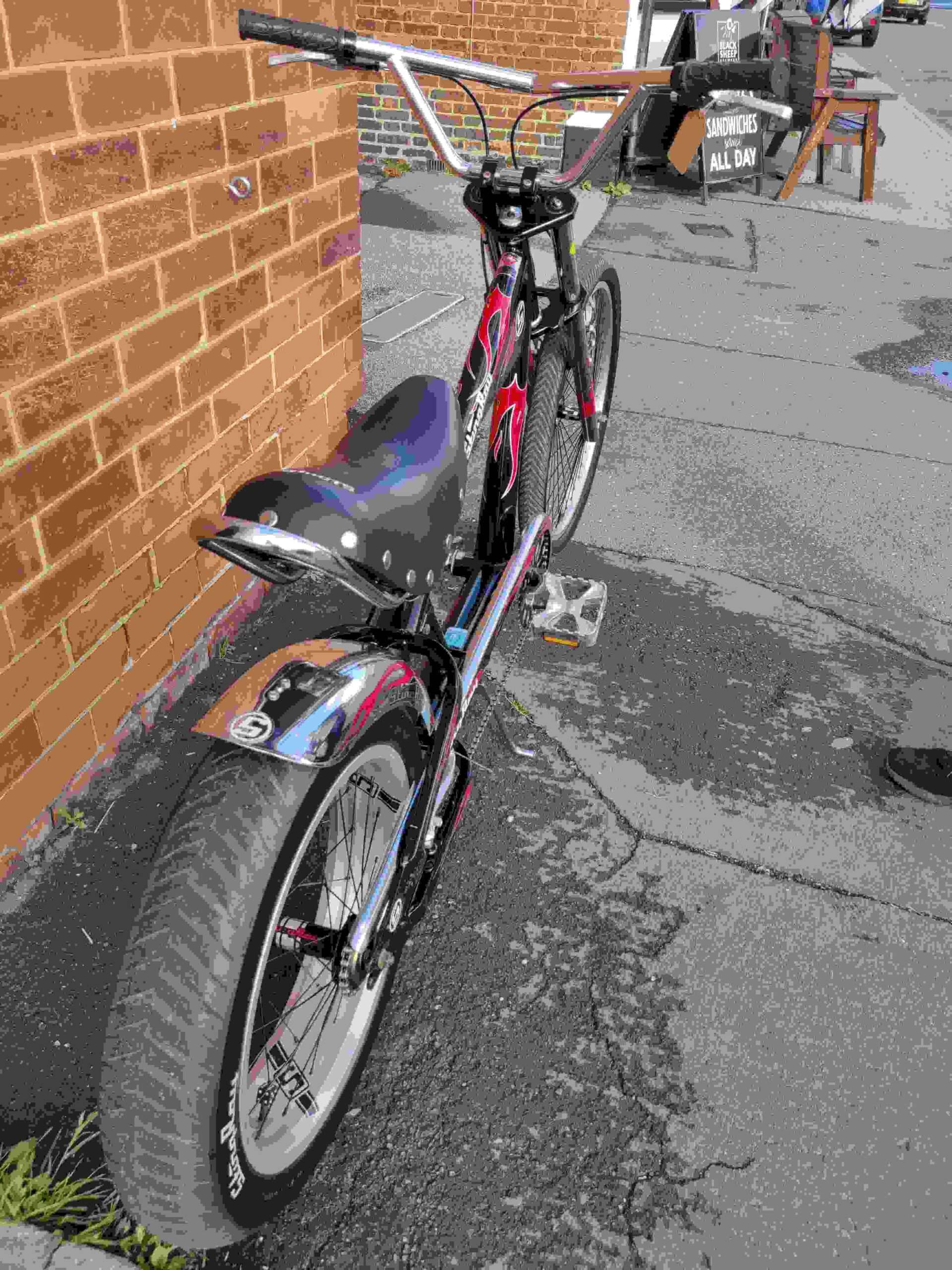 Schwinn Stingray Cruiser – Box Of Frogs